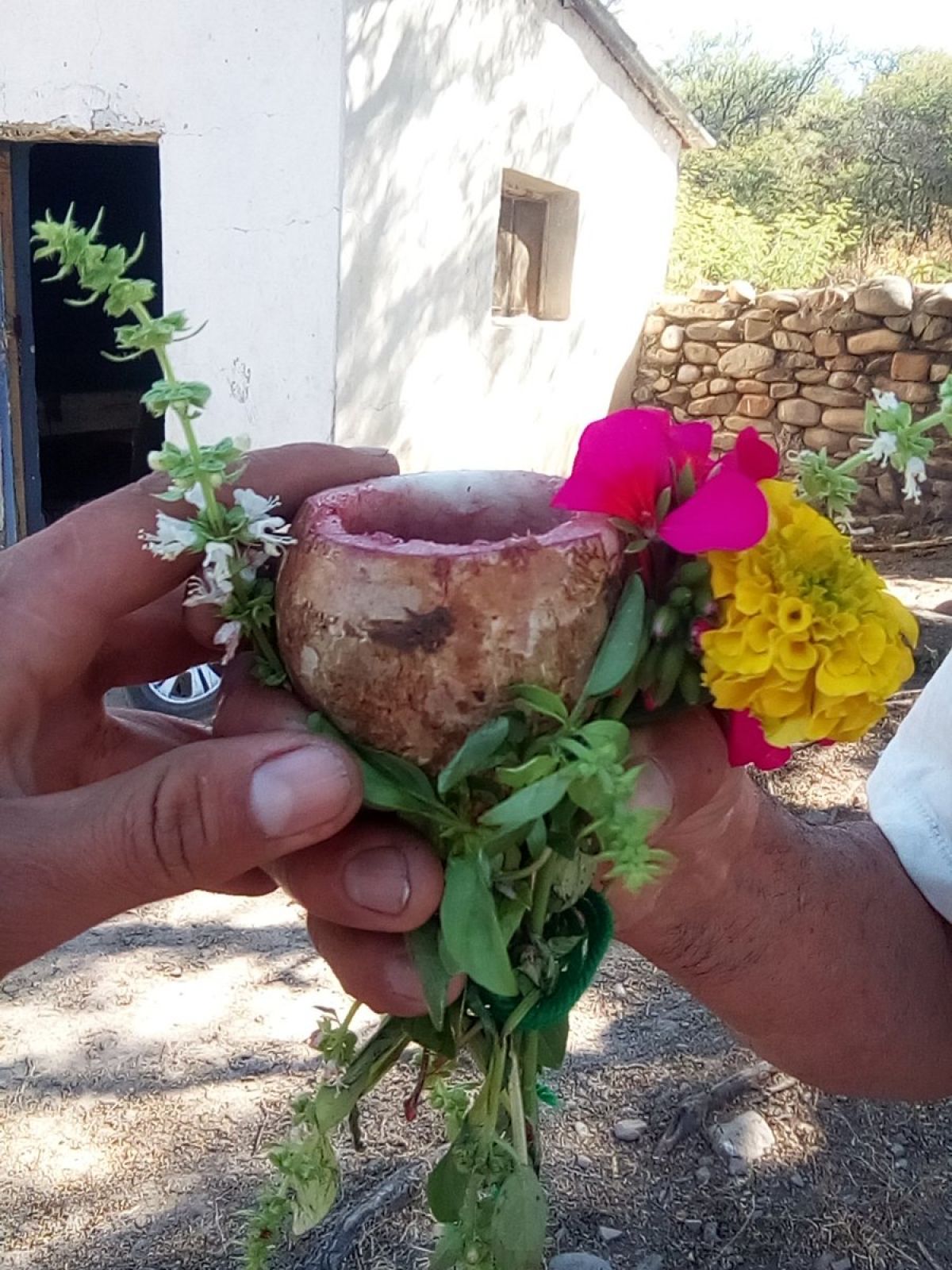 Tema del día