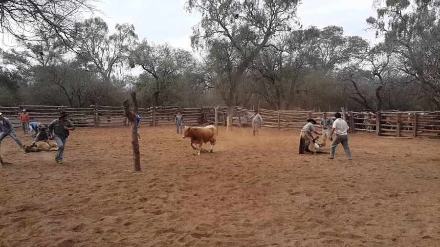 Las “Marcadas y Señaladas” una tradición y seguridad en Tarija