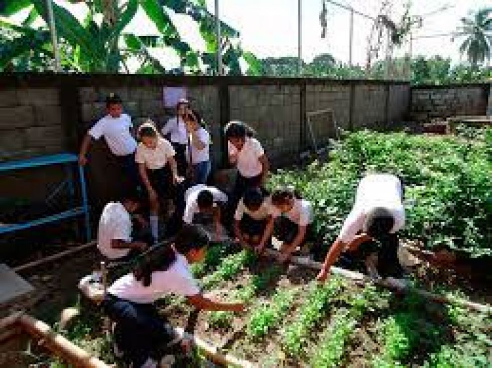 Padres y profes, claves en la toma de conciencia ecológica