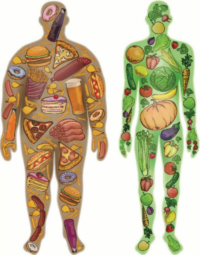 Salud: Microbiota y salud intestinal
